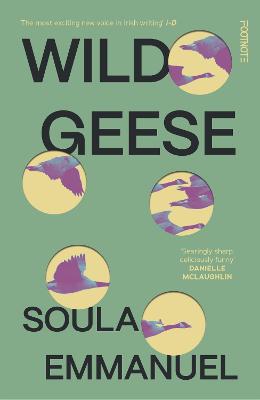 Wild Geese: the LAMBDA and GORDON BOWKER VOLCANO PRIZE winner – Book Grocer